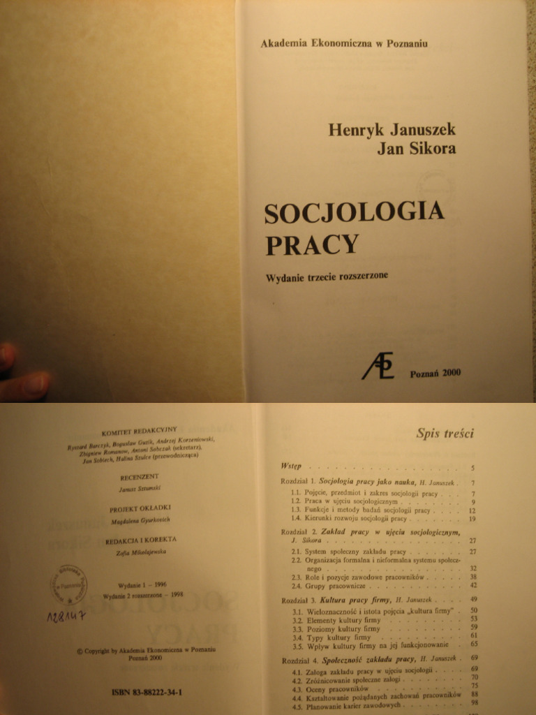 H.januszek., J.sikora - Socjologia Pracy (86-90) | PDF