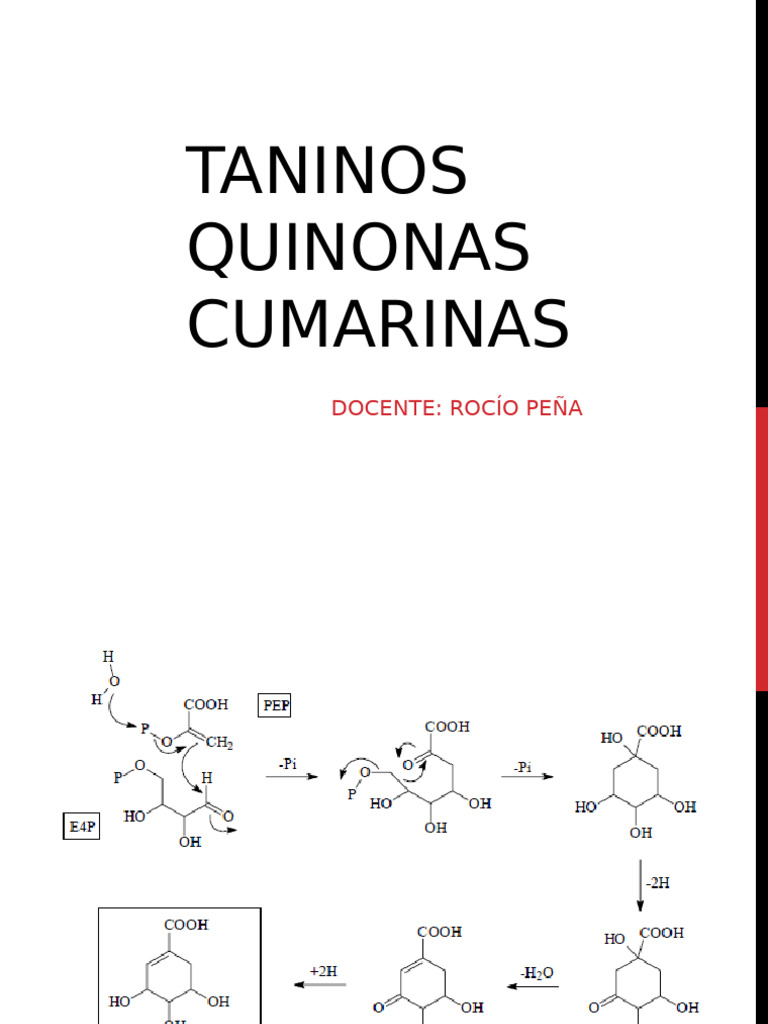 TANINOS QUINONAS CUMARINAS | PDF | Sustancias químicas