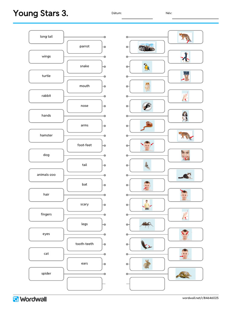 Young Stars 3 Match Up Vonalas Rajz | PDF