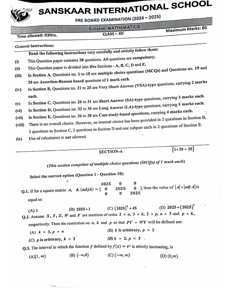 Maths Dummy Paper | PDF