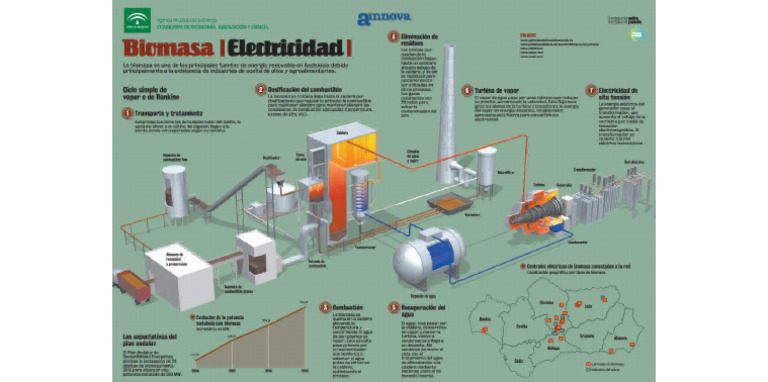 Renovable Energia Biomasa | PDF