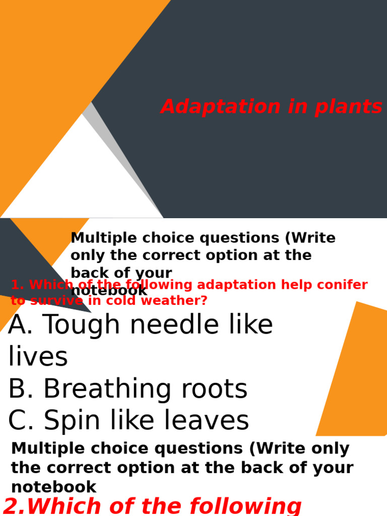 Plant Adaptation Quiz | PDF