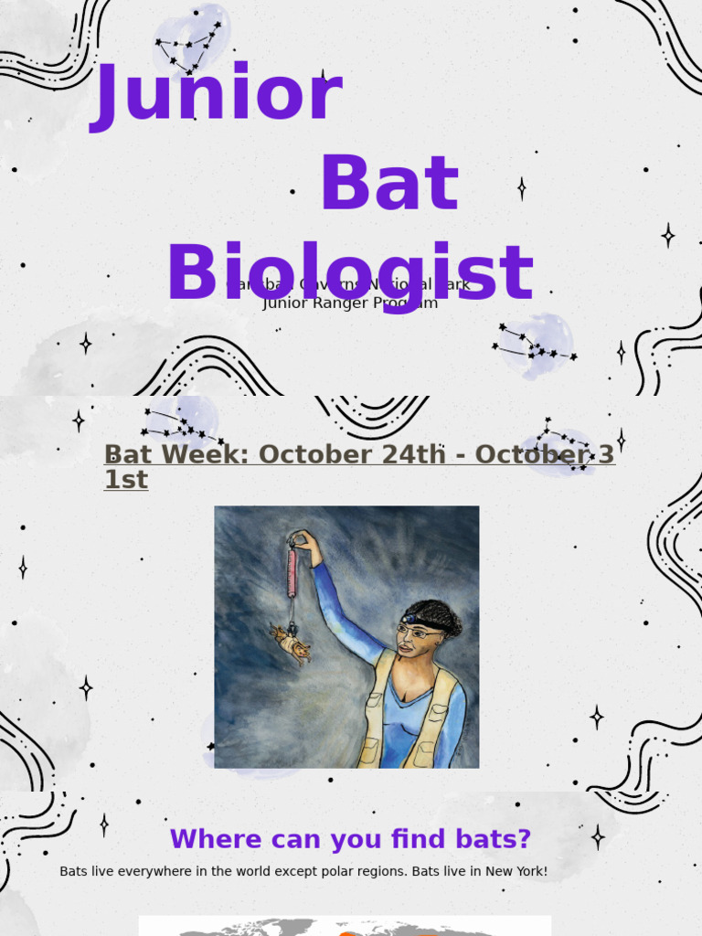 Junior Bat Biologist | PDF | Bat | Zoology