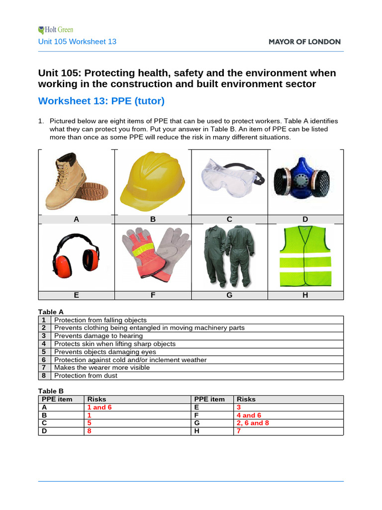 Unit 19 - Ws - 13 - PPE - ANSWERS | PDF