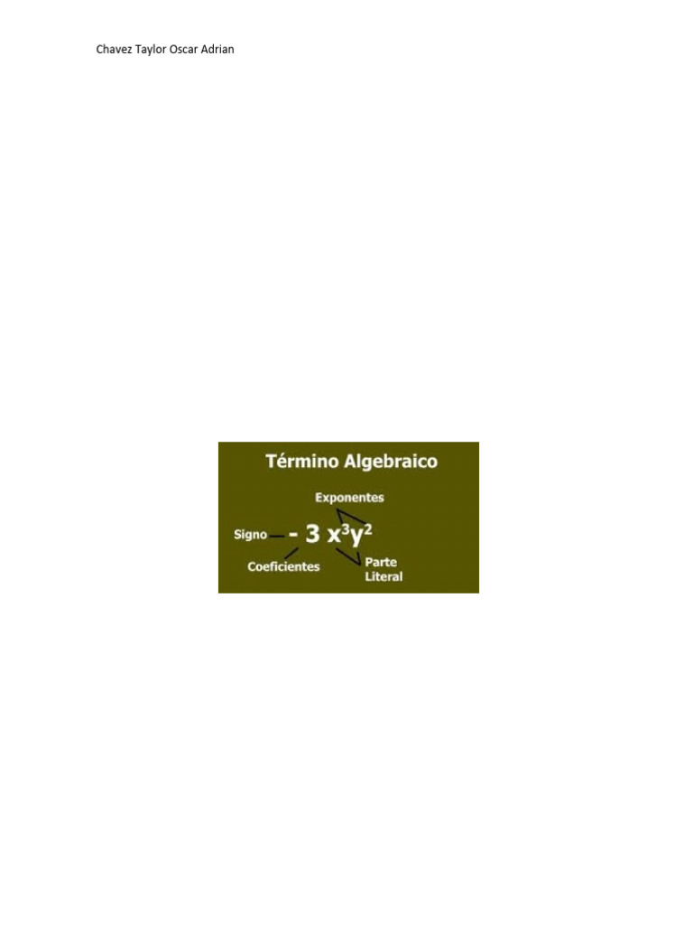 La clasificación de los términos algebraicos | PDF