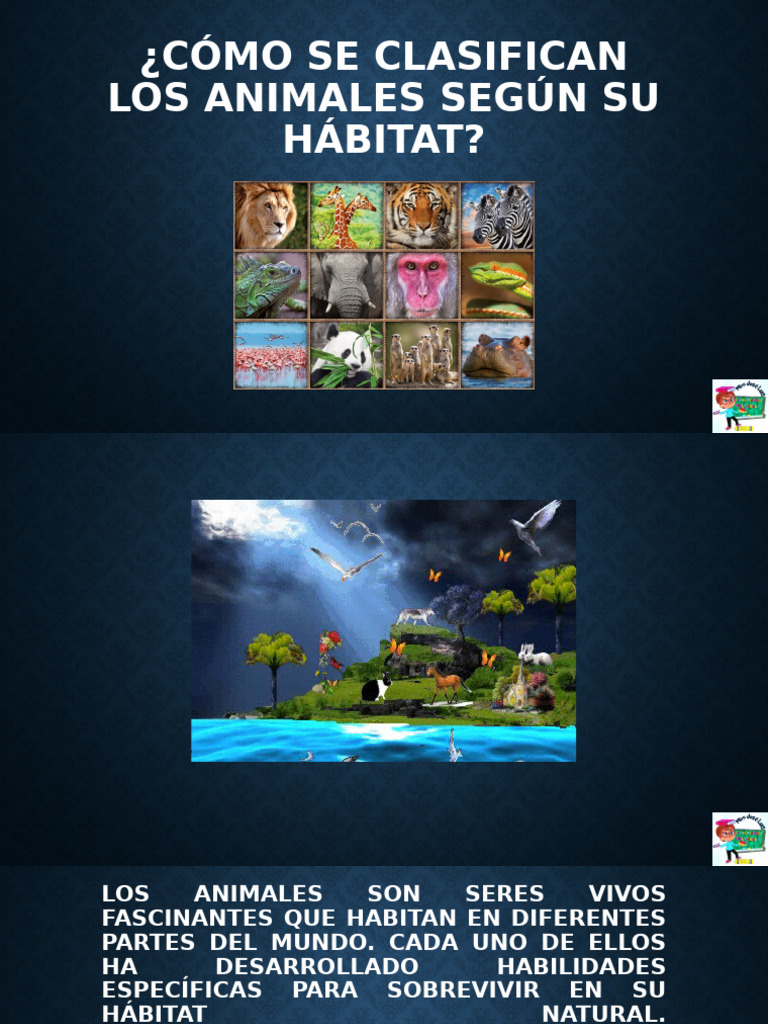 Clasificación de Los Animales Según Su Hábitat (1) | PDF | Habitat ...