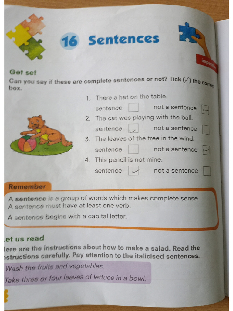 Class 3 Lesson 16 Sentences | PDF