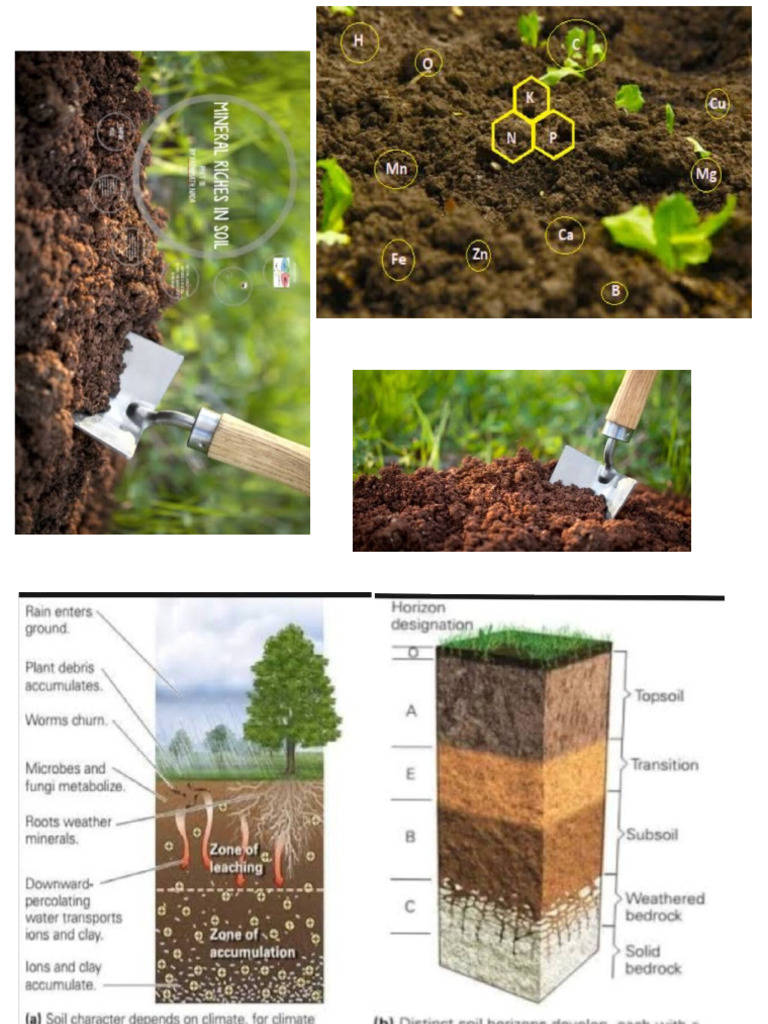 Project Soil Image | PDF