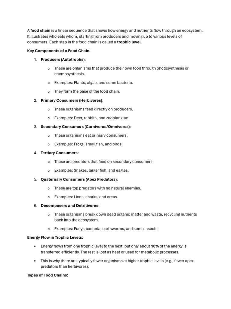 Energy Flow Notes | PDF | Food Web | Biomass (Ecology)