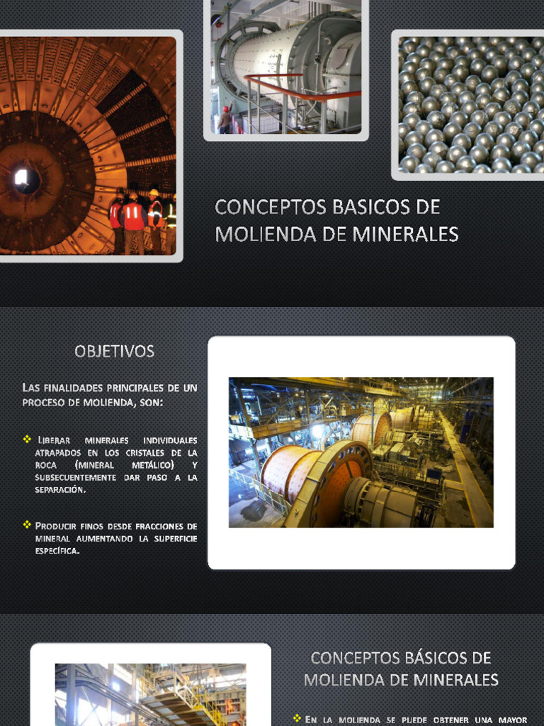 Conceptos Básicos | PDF
