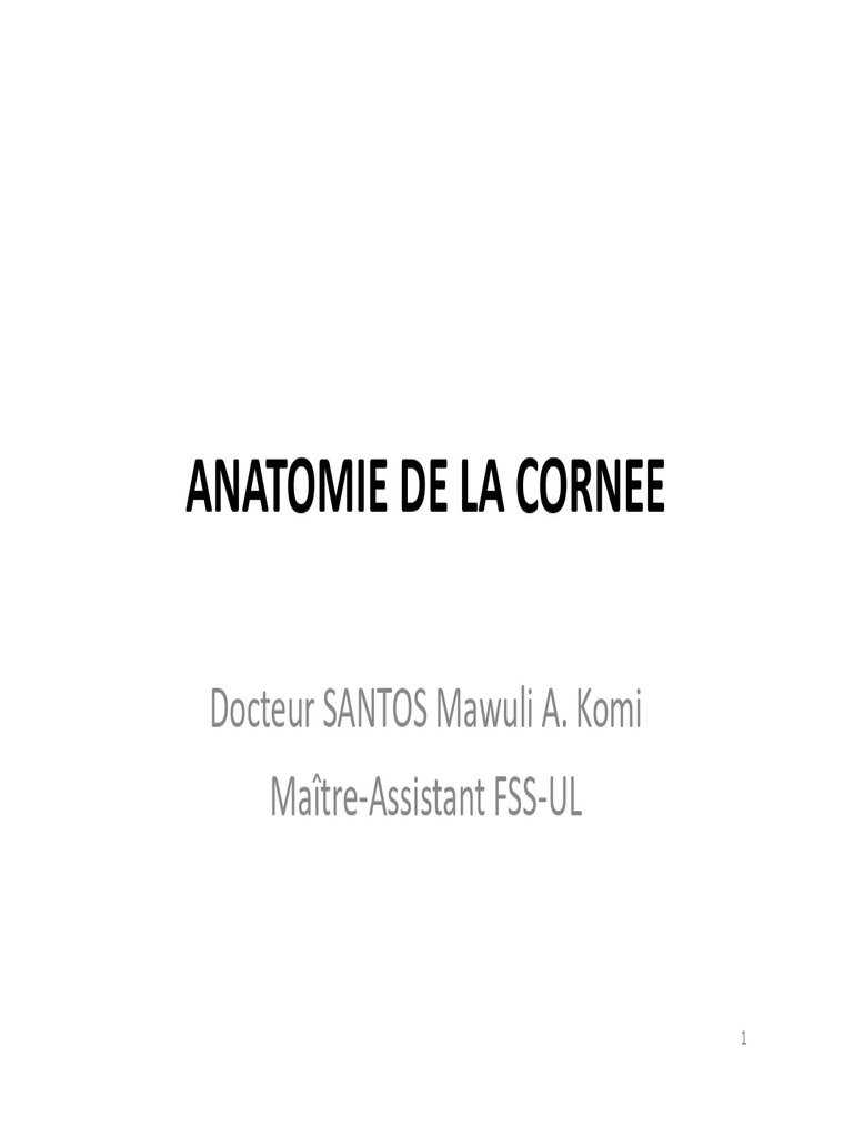 Anatomie de la Cornée et Explorations | PDF | Cornée | Anatomie