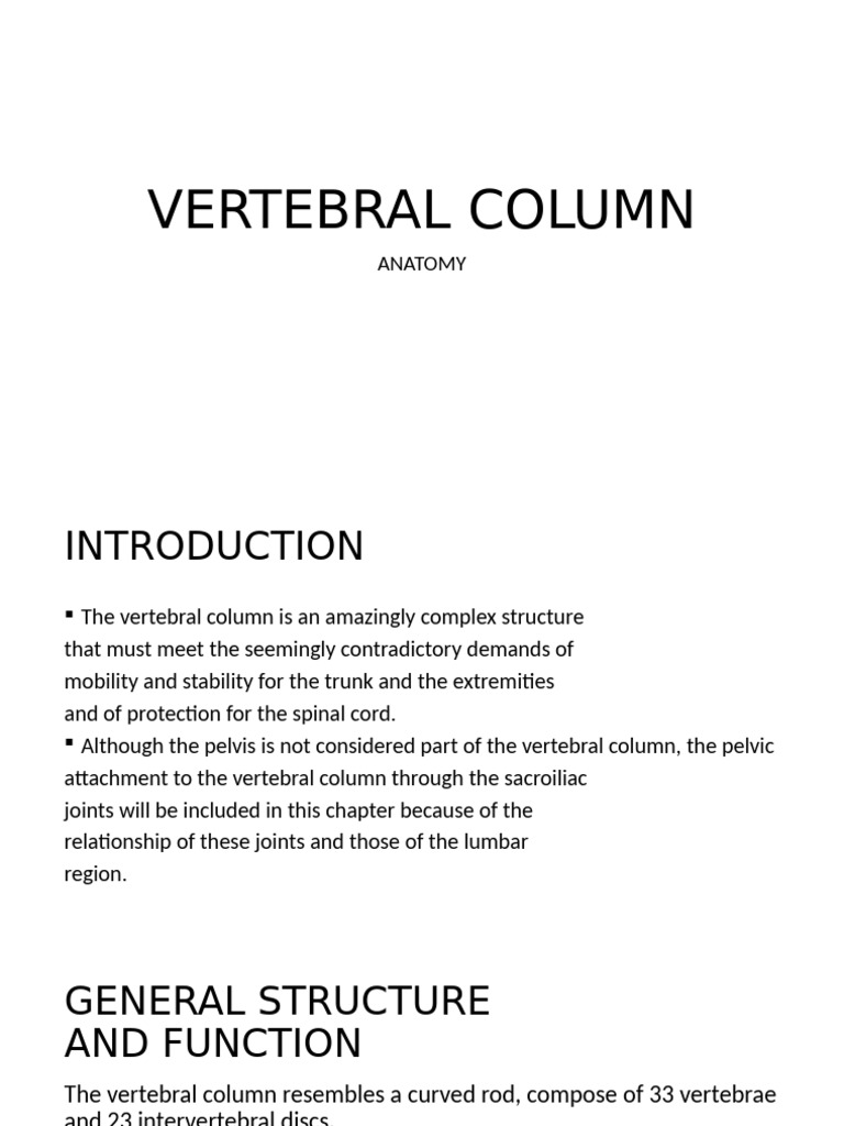 Vertebrae | PDF | Vertebra | Vertebral Column