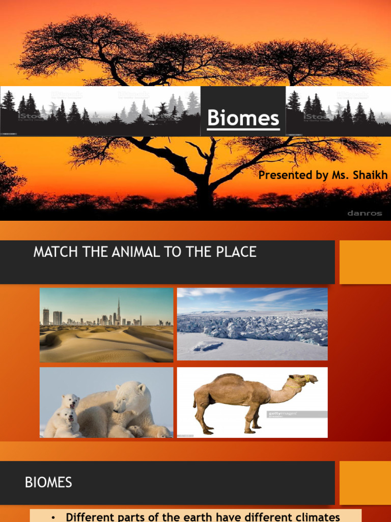1.3) Biomes, Notes, Classwork Learner | PDF | Savanna | South Africa