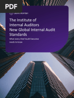 2025 Global Internal Audit Standards | PDF | Internal Audit | Audit