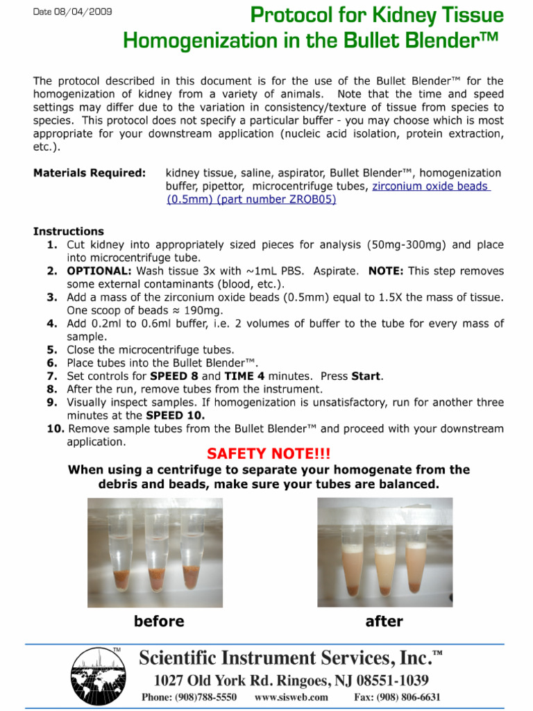 homogenization-kidney-tissue | PDF