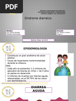 GEPI | PDF | Diarrea | Epidemiología