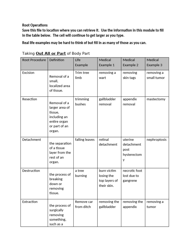 Assignment Root Operations Table | PDF | Surgery | Blood Vessel
