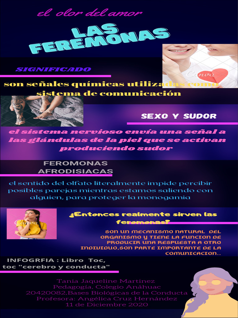 Infografia de Libro Toc Toc - 11 Dic-20 | PDF