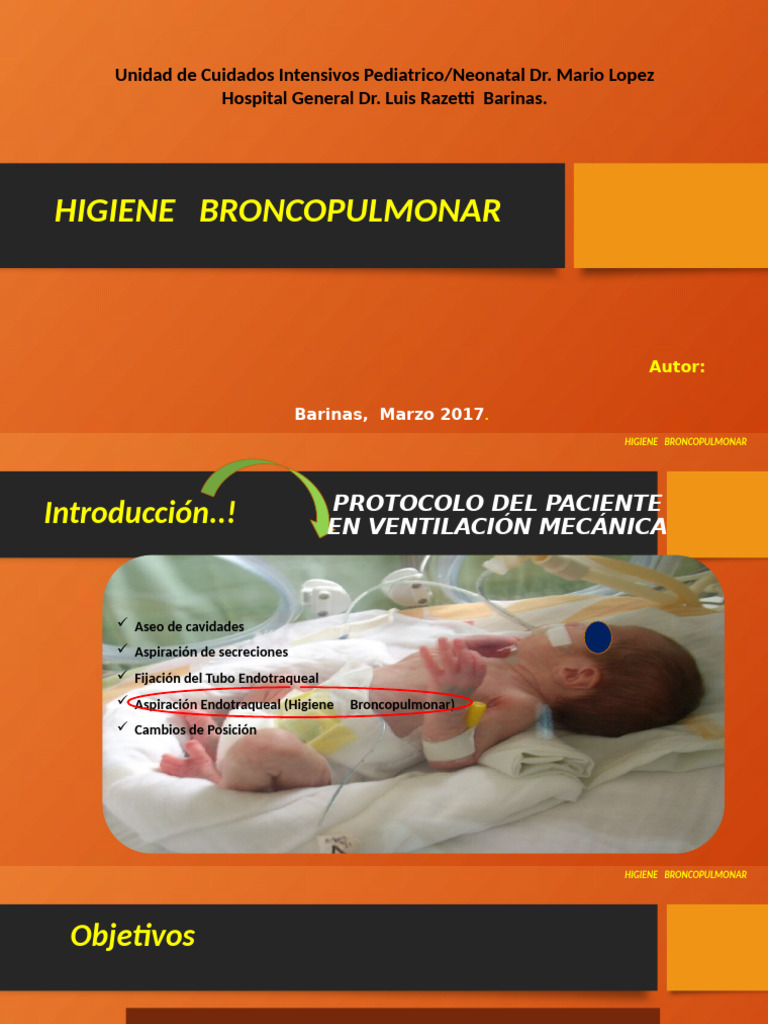 HBP nuevo | PDF | Tórax | Sistema respiratorio