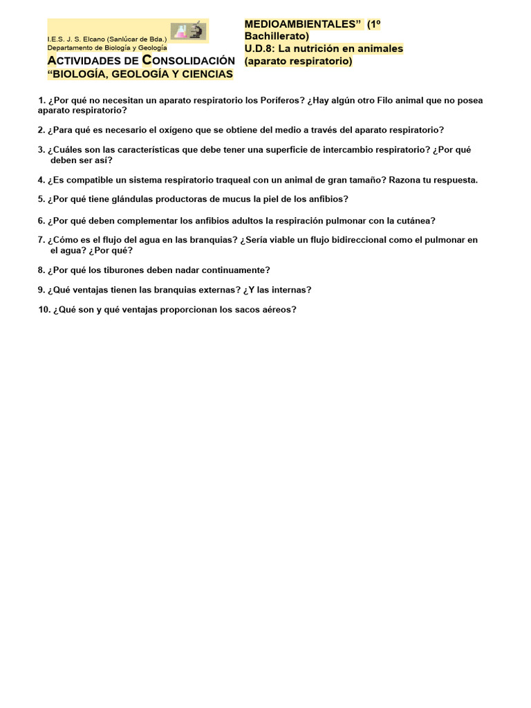 ACTIVIDADES UD8 La nutrición en animales (aparato respiratorio) BGCM 1º Bach | PDF