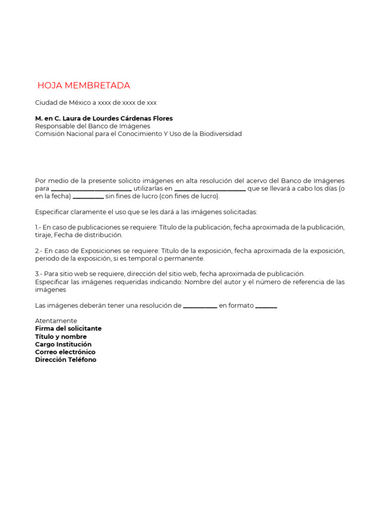 Formato Solicitud Imagenes | PDF
