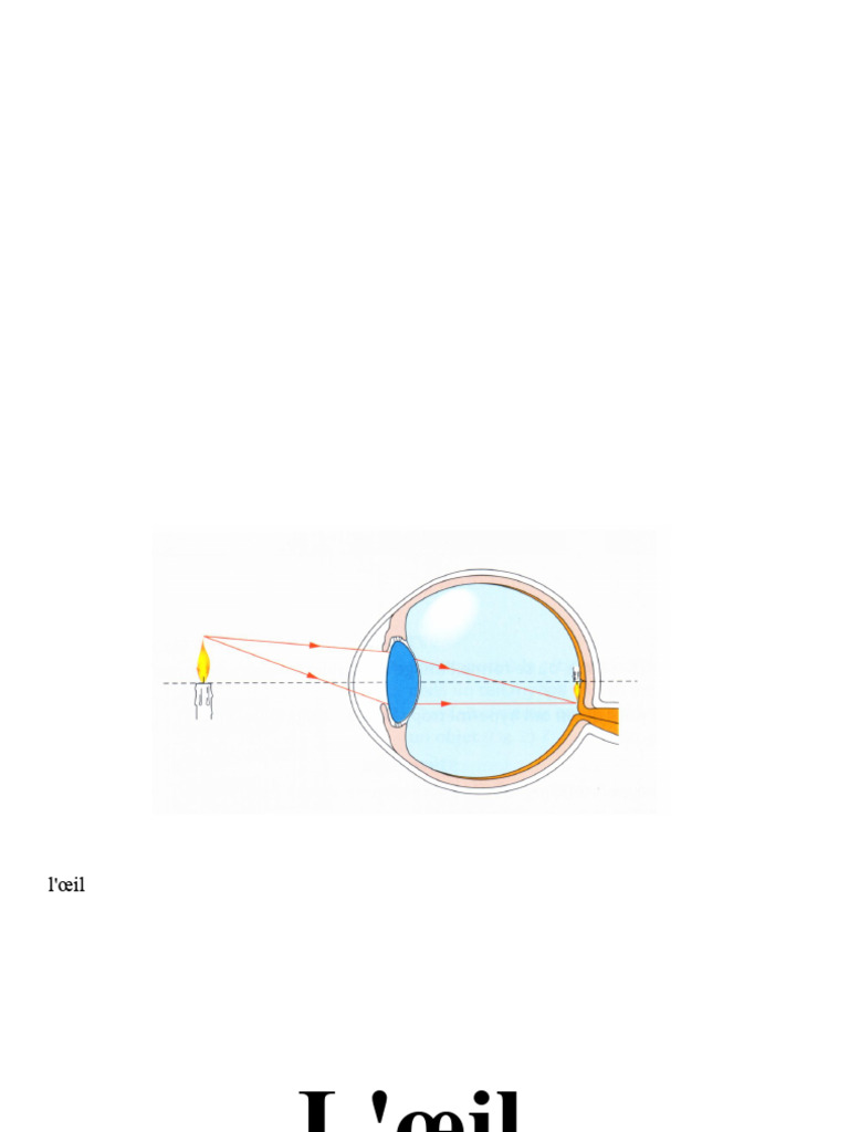 Optique et Physique de la Vision | PDF | Réfraction | Œil humain