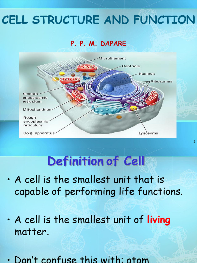Understanding Cell Structure and Function | PDF | Endoplasmic Reticulum ...