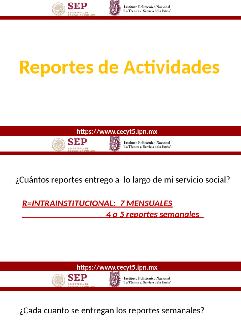 Guía de Reportes para Servicio Social IPN | PDF