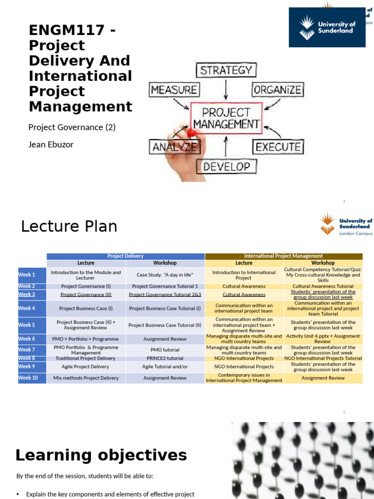 International Project Management Governance | PDF | Governance ...