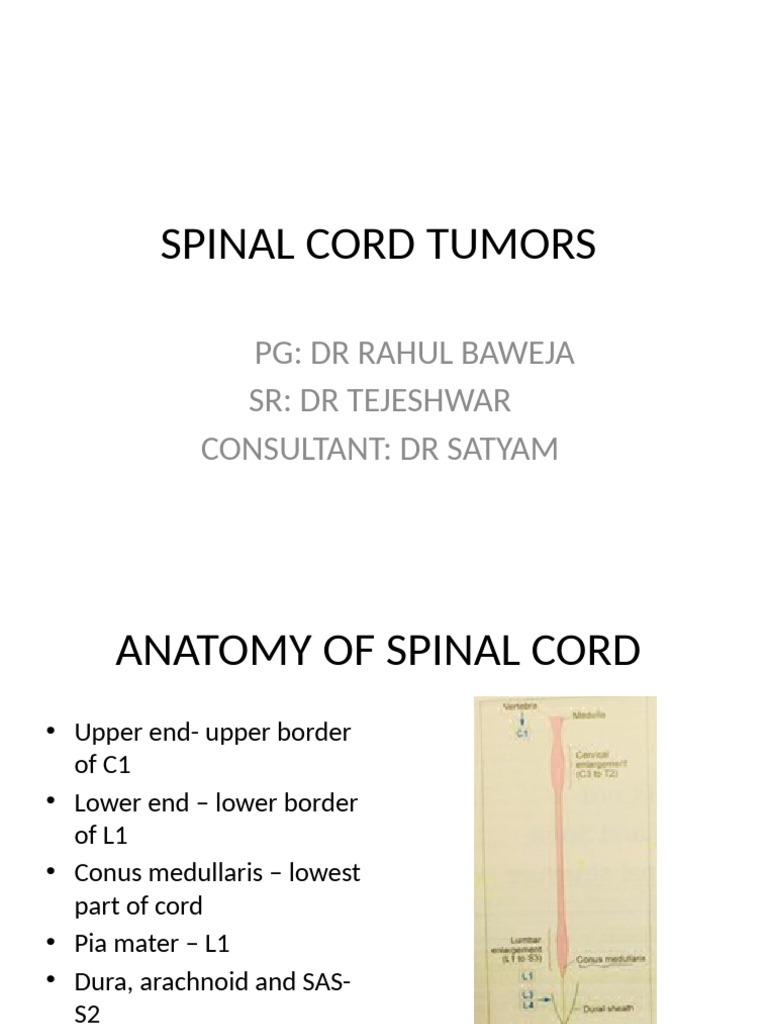 Spinal Cord Tumours | PDF | Spinal Cord | Vertebral Column