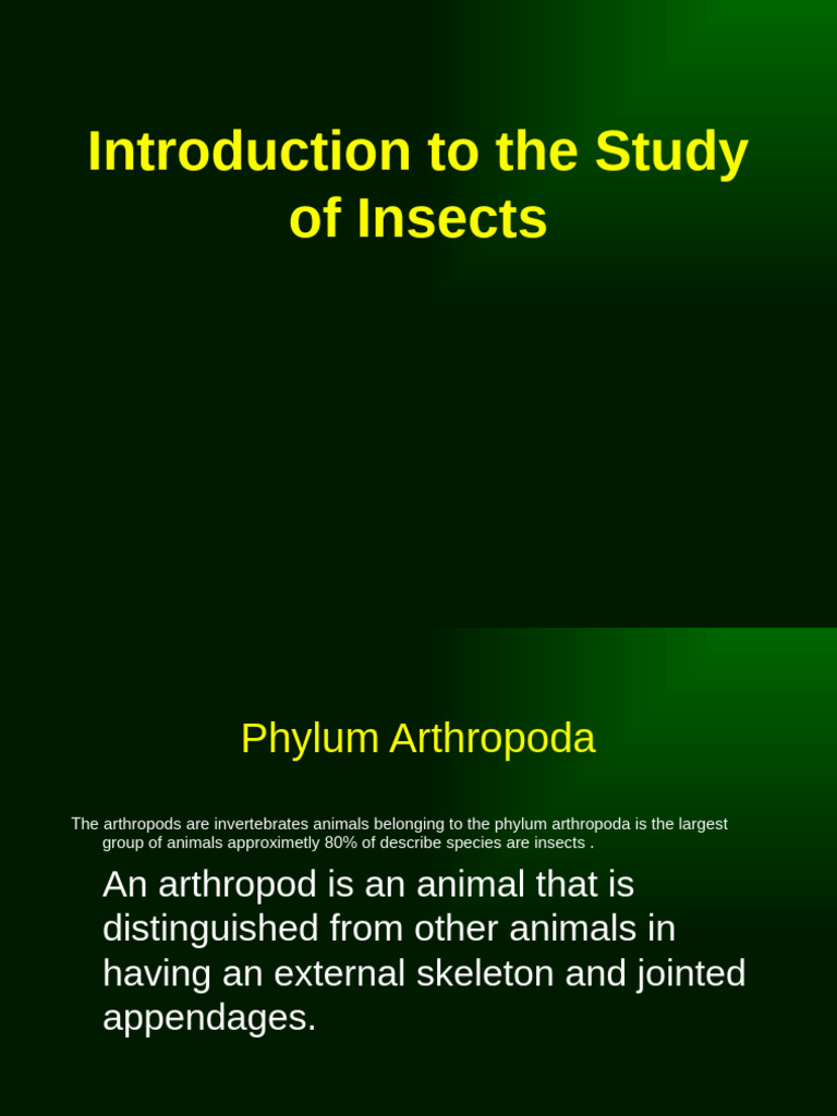 Introduction To Entomology | PDF | Insects | Fly