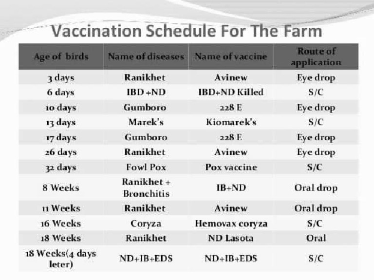 Vaccine Schedule | PDF