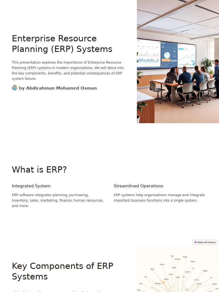 Importance of ERP Systems Explained | PDF | Enterprise Resource ...