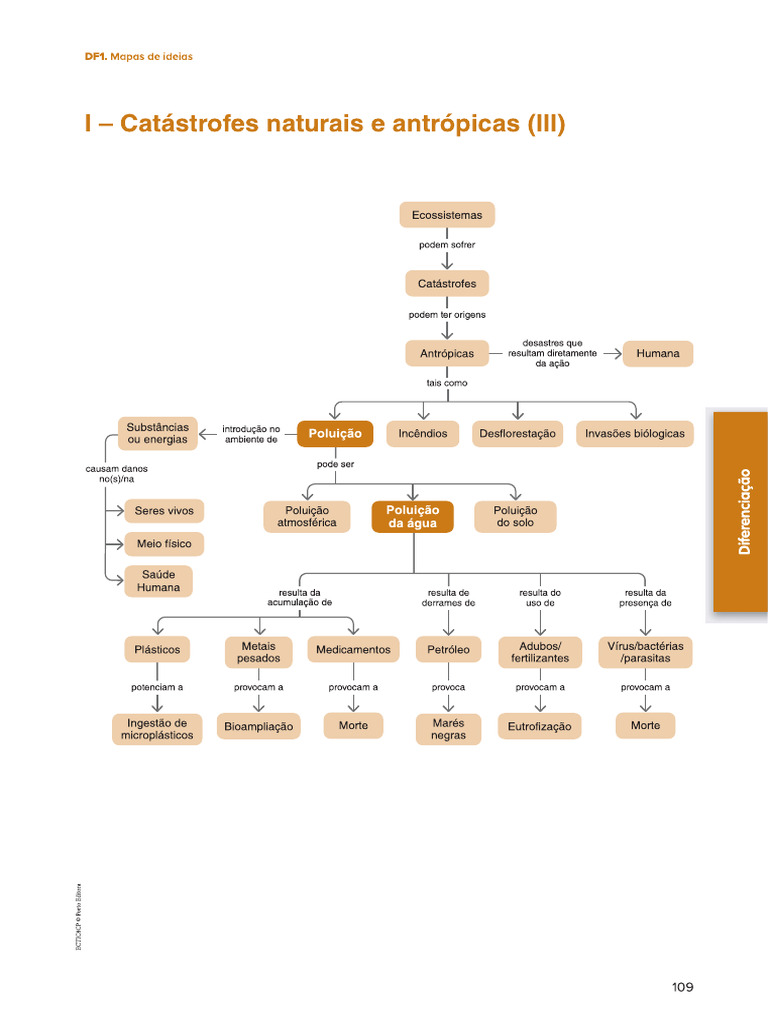 ectic8_mapa_ideias_i3 | PDF