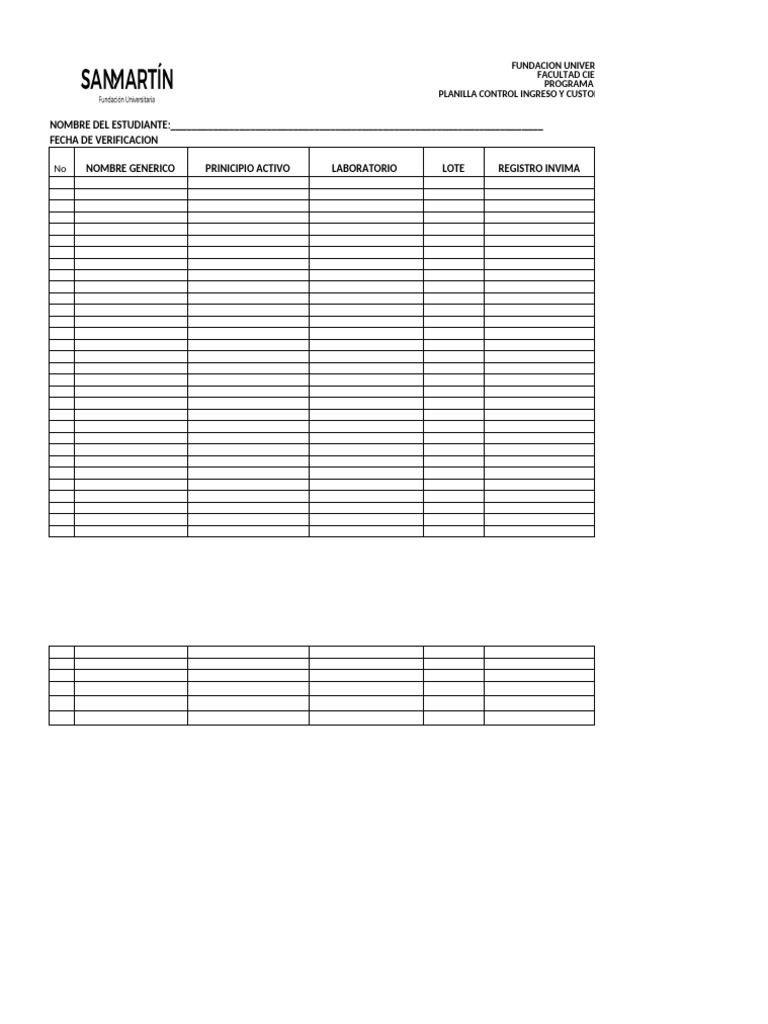 Formato de Control de Insumos, Medicamentos y Dm 2025-2 | PDF ...