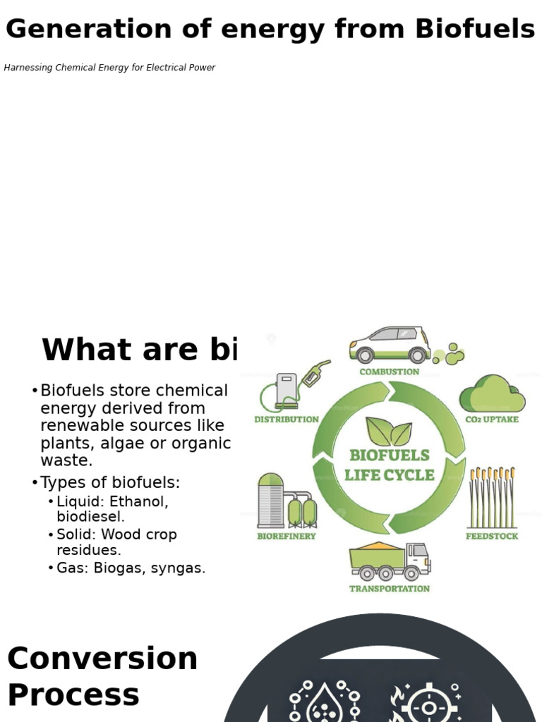 Biofuels Presentation | PDF