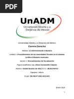 Proceso de Compulsa SAT: Guía Completa | PDF