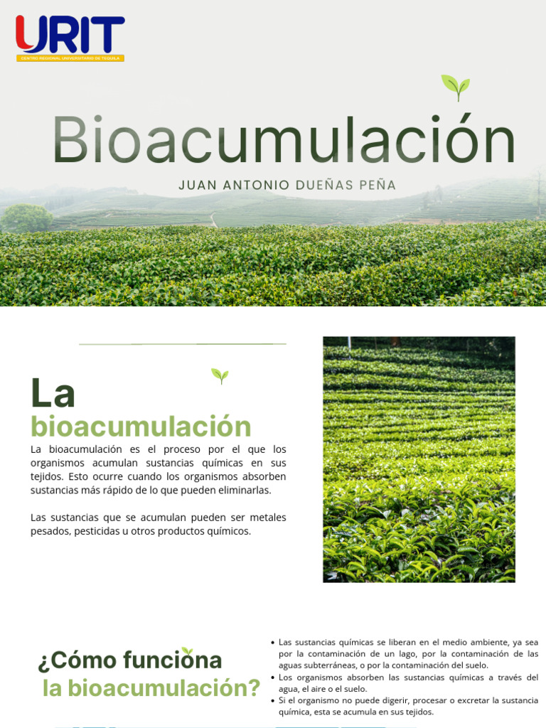 BIOACUMULACIÓN | PDF