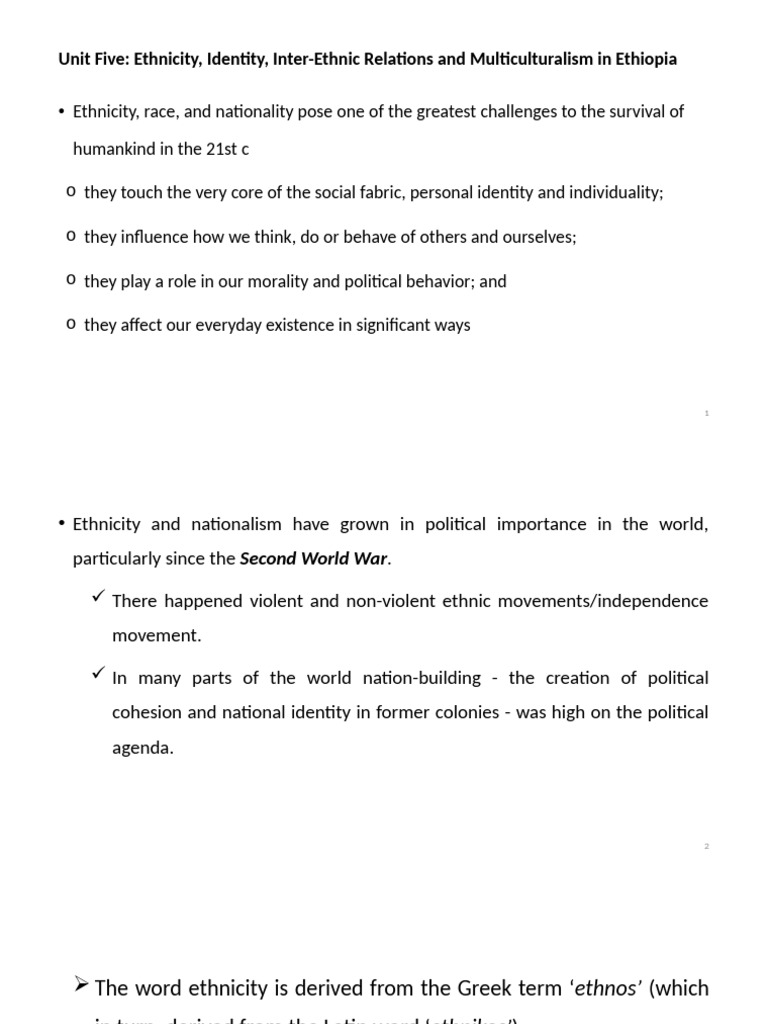 Ethnicity and Identity | PDF