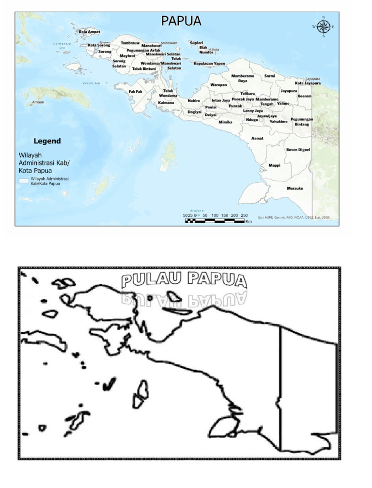 peta papua | PDF