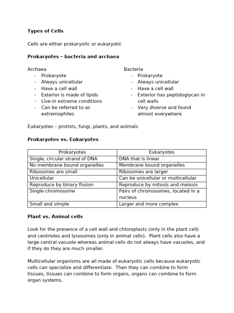 Prokaryote and Eukaryote Cell Notes | PDF | Cell (Biology) | Eukaryotes