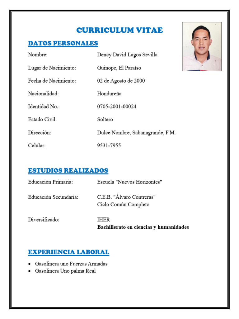 Cv David Sevilla | PDF