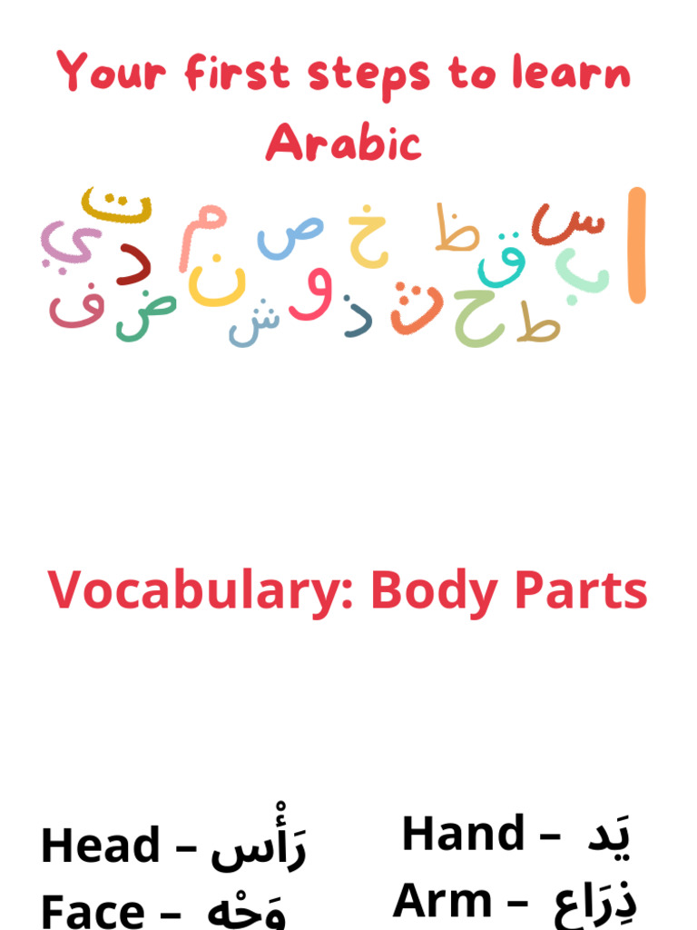 Arabic-English Body Parts Vocabulary | PDF