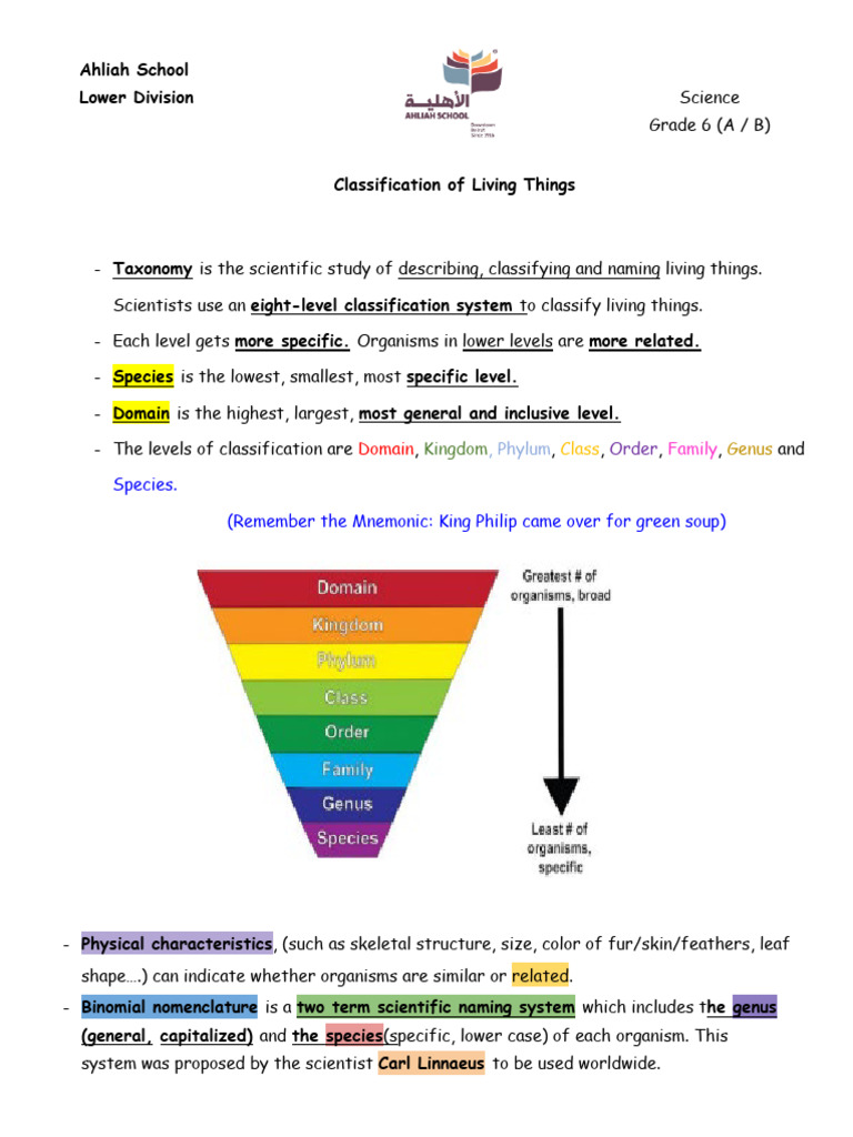 Classification of Living Things-1 | PDF | Organisms | Microorganism