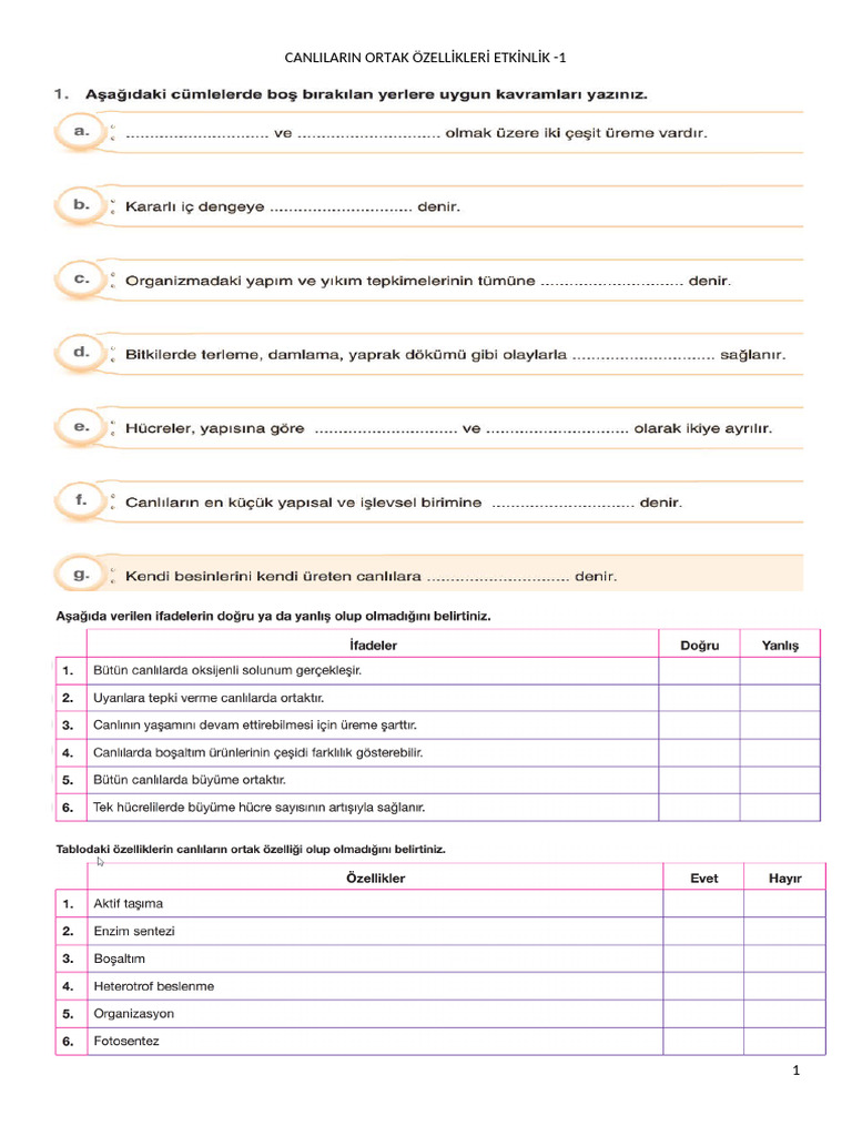 Canlä Larä Orat Kã Zellikleri Etkinlik | PDF