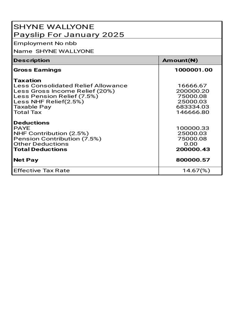 Shyne Wallyone January 2025 Payslip | PDF