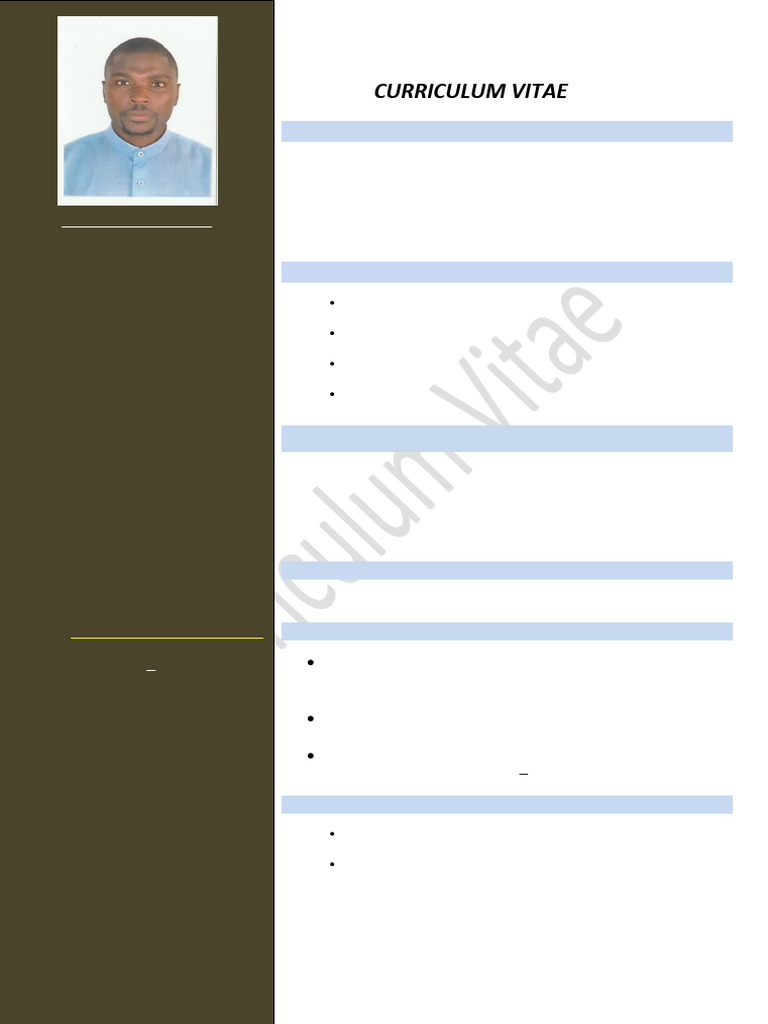 CURRICULUM VITAE Fonseca Luís | PDF