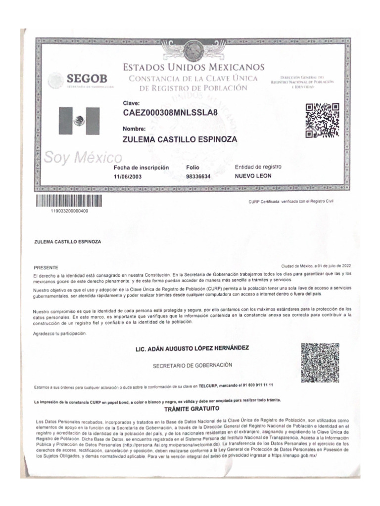 CURP | PDF