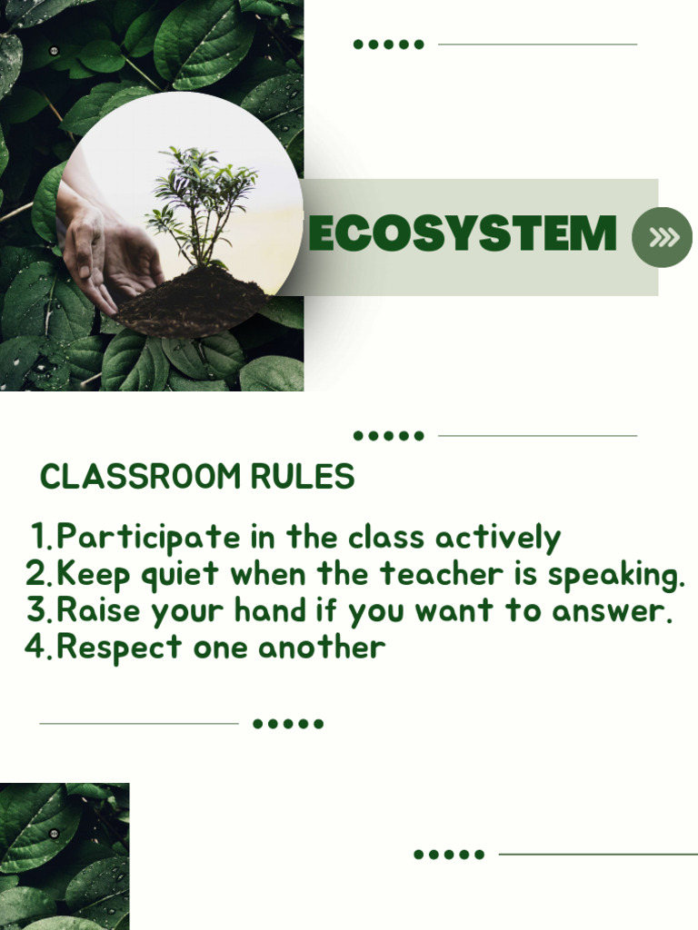 Classroom Guide to Biodiversity & Ecosystems | PDF | Ecosystem | Soil