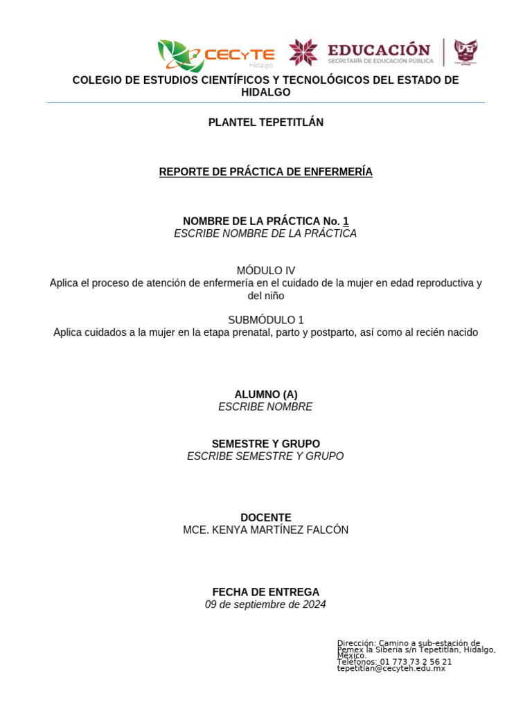 Formato Reporte de Practica | PDF